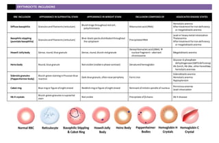 RBC Inclusions | DOCX