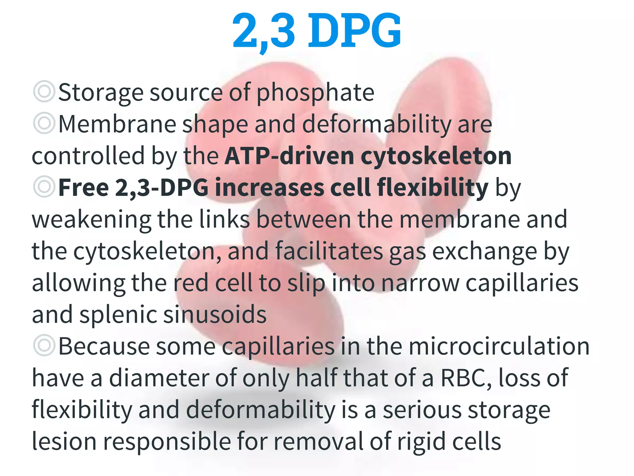 Rbc membrane | PPTX