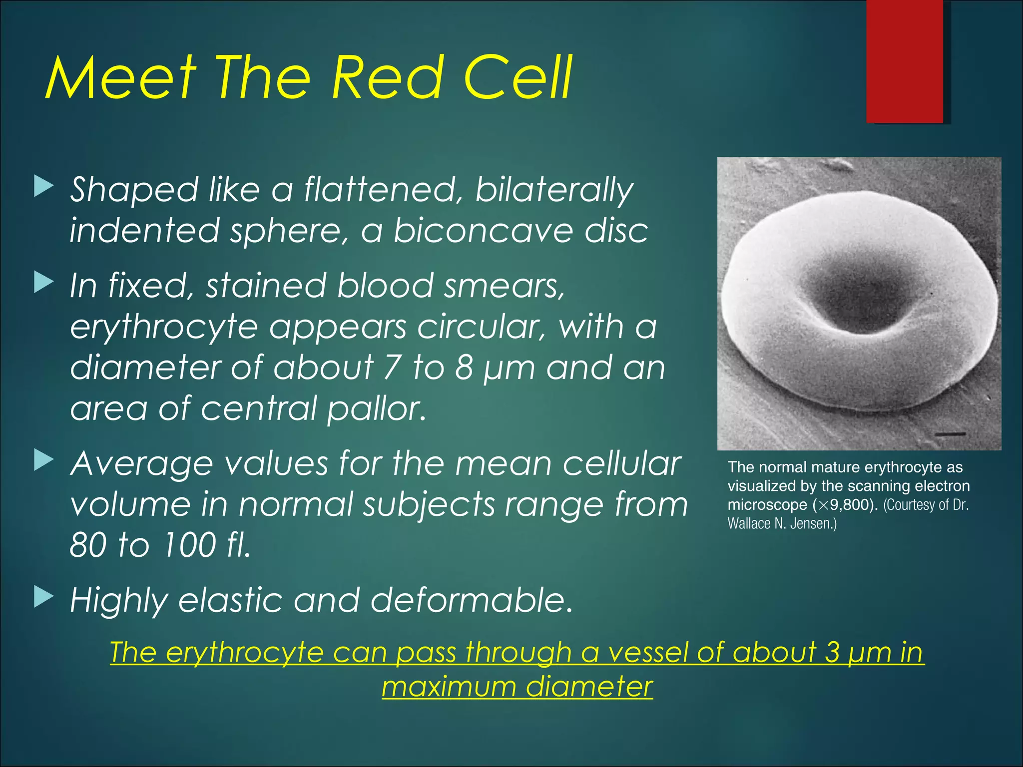 RBC Membrane Defects | PPT