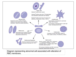 RBC MEMBRANE DEFECTS final presentation.pptx