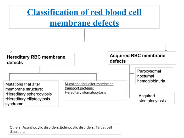 RBC MEMBRANE DEFECTS final presentation.pptx