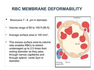 RBC MEMBRANE DEFECTS final presentation.pptx
