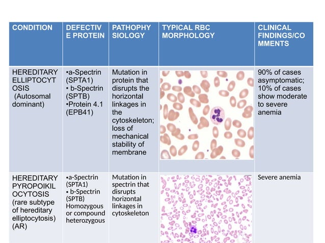 RBC MEMBRANE DEFECTS final presentation.pptx