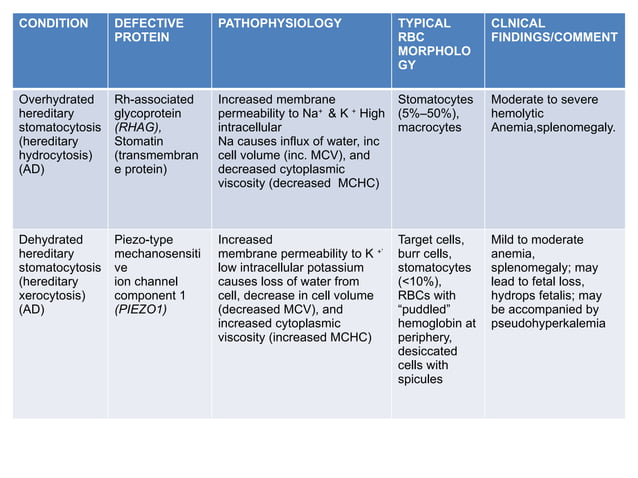 RBC MEMBRANE DEFECTS final presentation.pptx