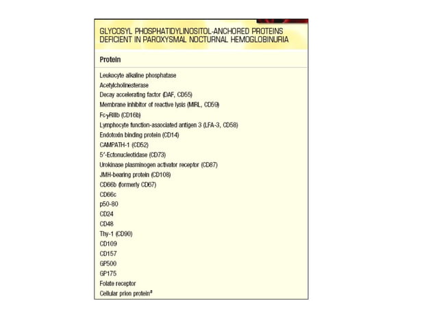 RBC MEMBRANE DEFECTS final presentation.pptx