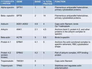 RBC MEMBRANE DEFECTS final presentation.pptx