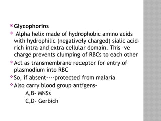 RBC MEMBRANE STRUCTURE AND ITS DISORDERS.pptx
