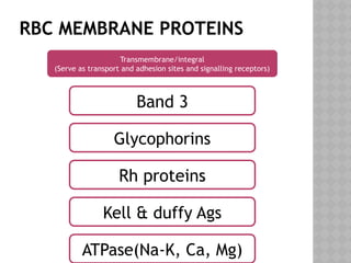 RBC MEMBRANE STRUCTURE AND ITS DISORDERS.pptx