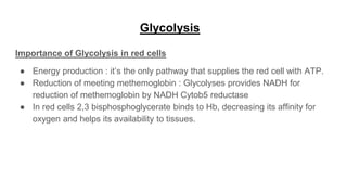 RBC metabolism and G6PD deficiency anemia.pptx