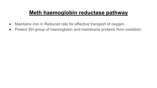 RBC metabolism and G6PD deficiency anemia.pptx