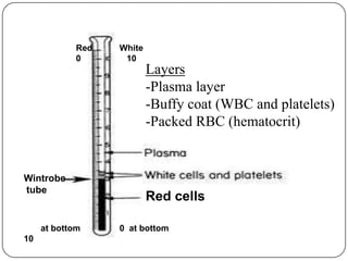 Rbc method 2 | PPTX