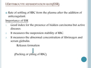 RBC Methodology | PPTX