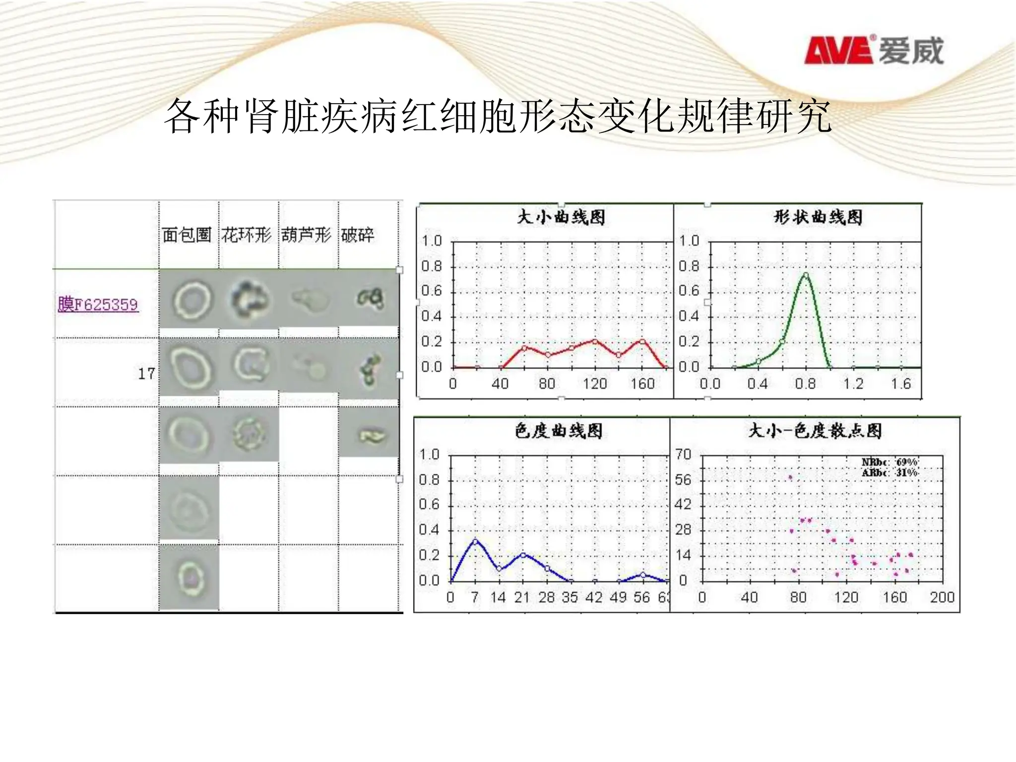 rbc morphological analysis. rbc morphological analysis | PPT