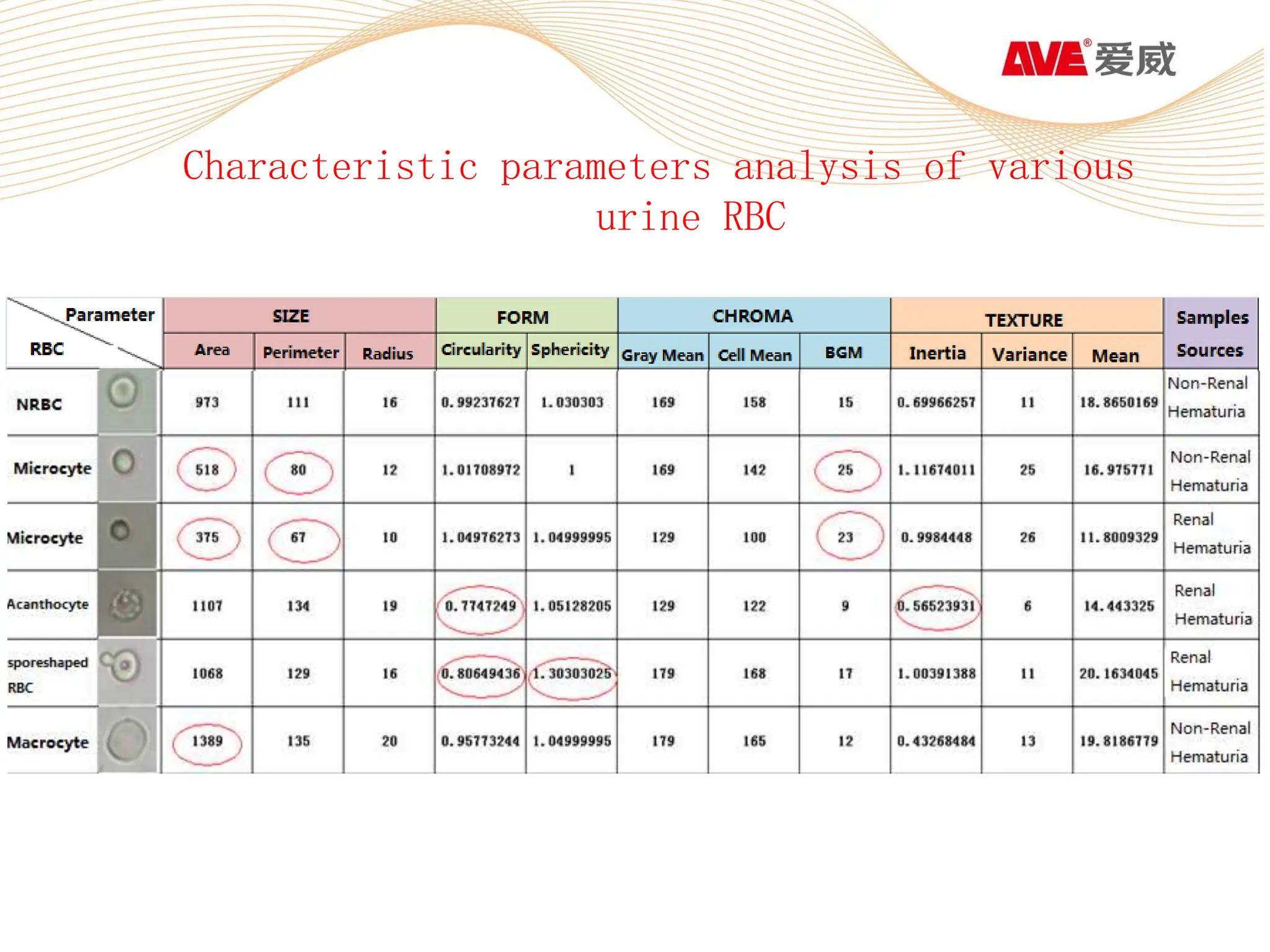rbc morphological analysis. rbc morphological analysis | PPT