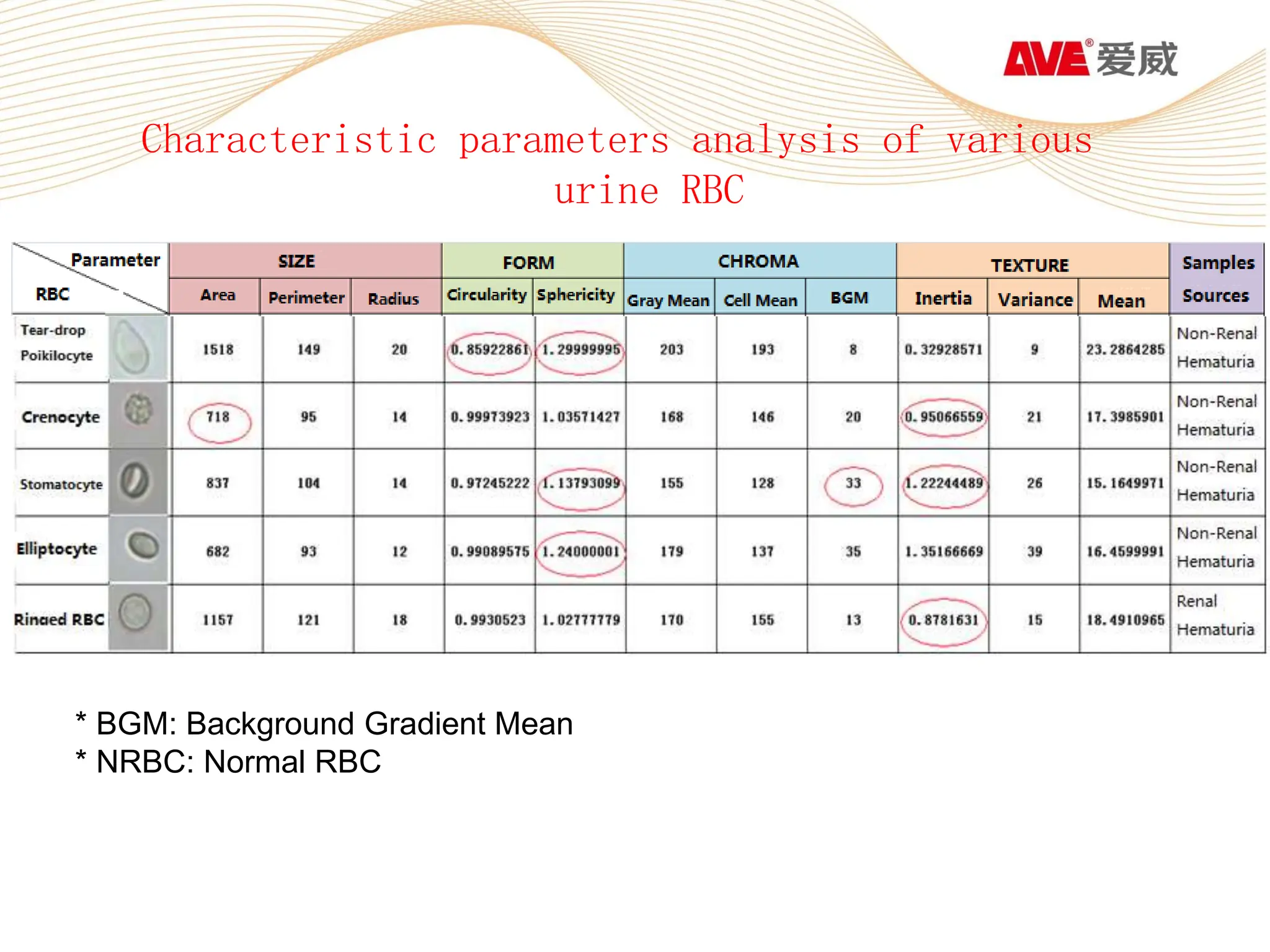 rbc morphological analysis. rbc morphological analysis | PPT
