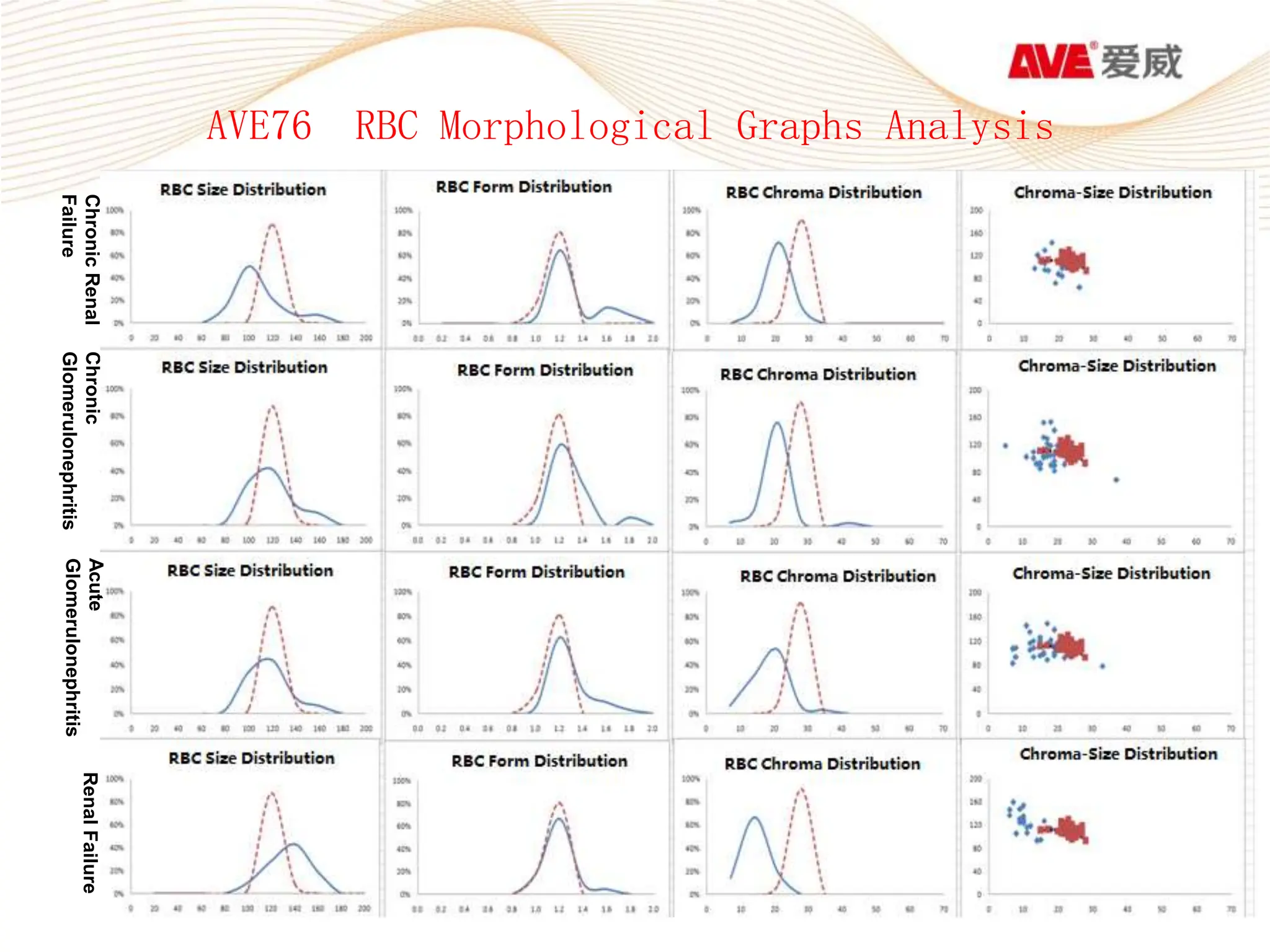 rbc morphological analysis. rbc morphological analysis | PPT