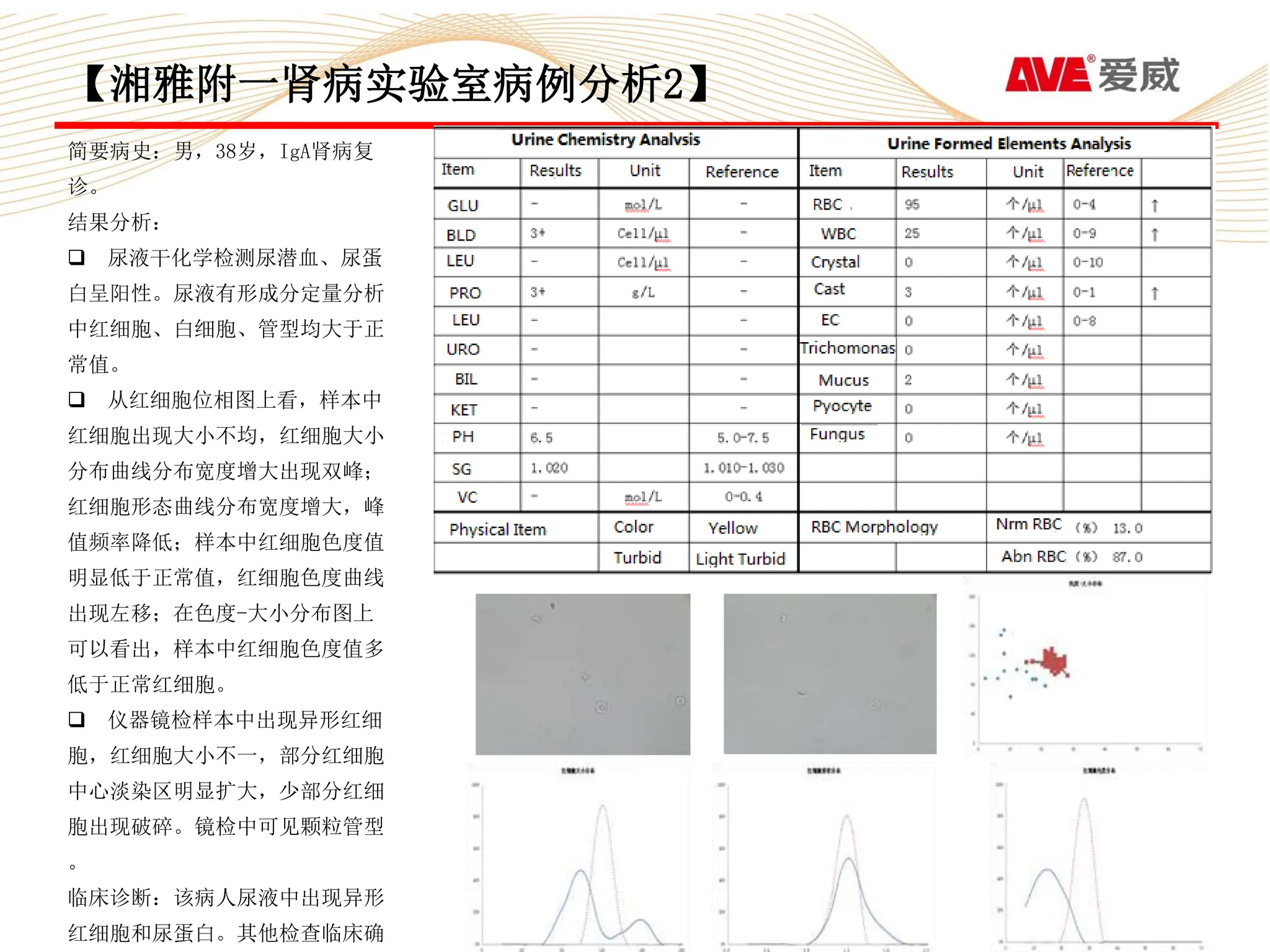 rbc morphological analysis. rbc morphological analysis | PPT