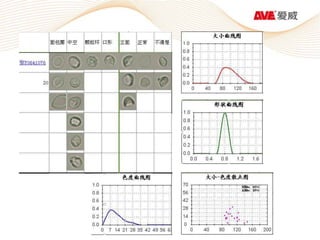 rbc morphological analysis. rbc morphological analysis | PPT