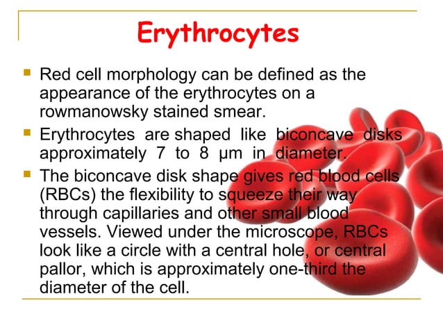 Rbcmorphology 140722103459-phpapp02 - copy | PPT | Free Download