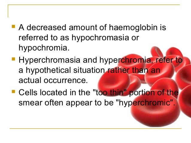 Rbcmorphology 140722103459-phpapp02 - copy