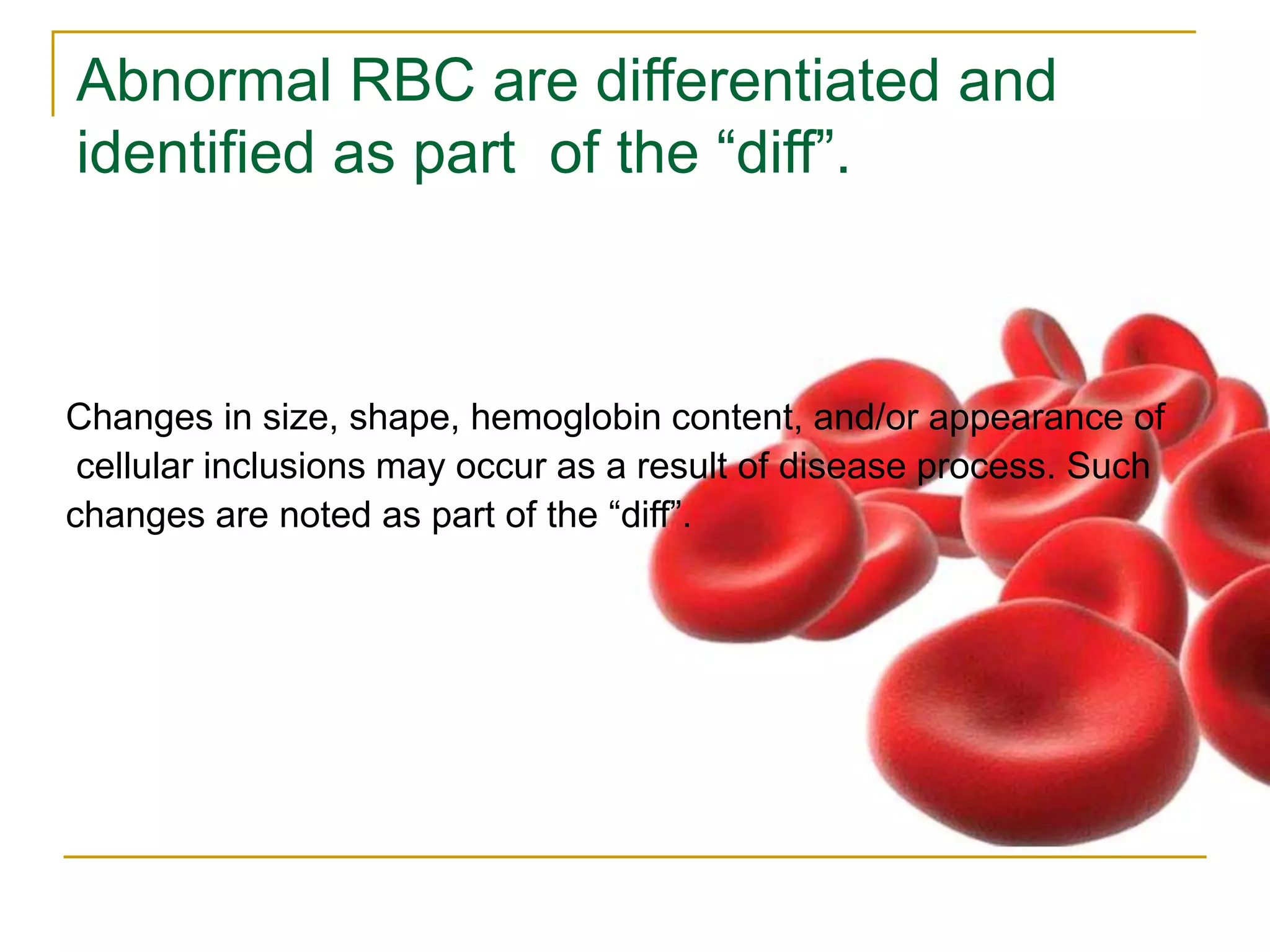 RBC morphology and Disease that may be associated with abnormal ...
