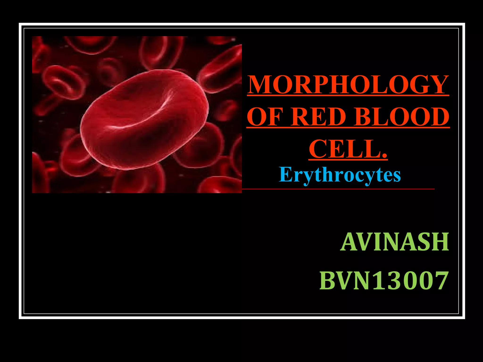 Rbc morphology | PPT