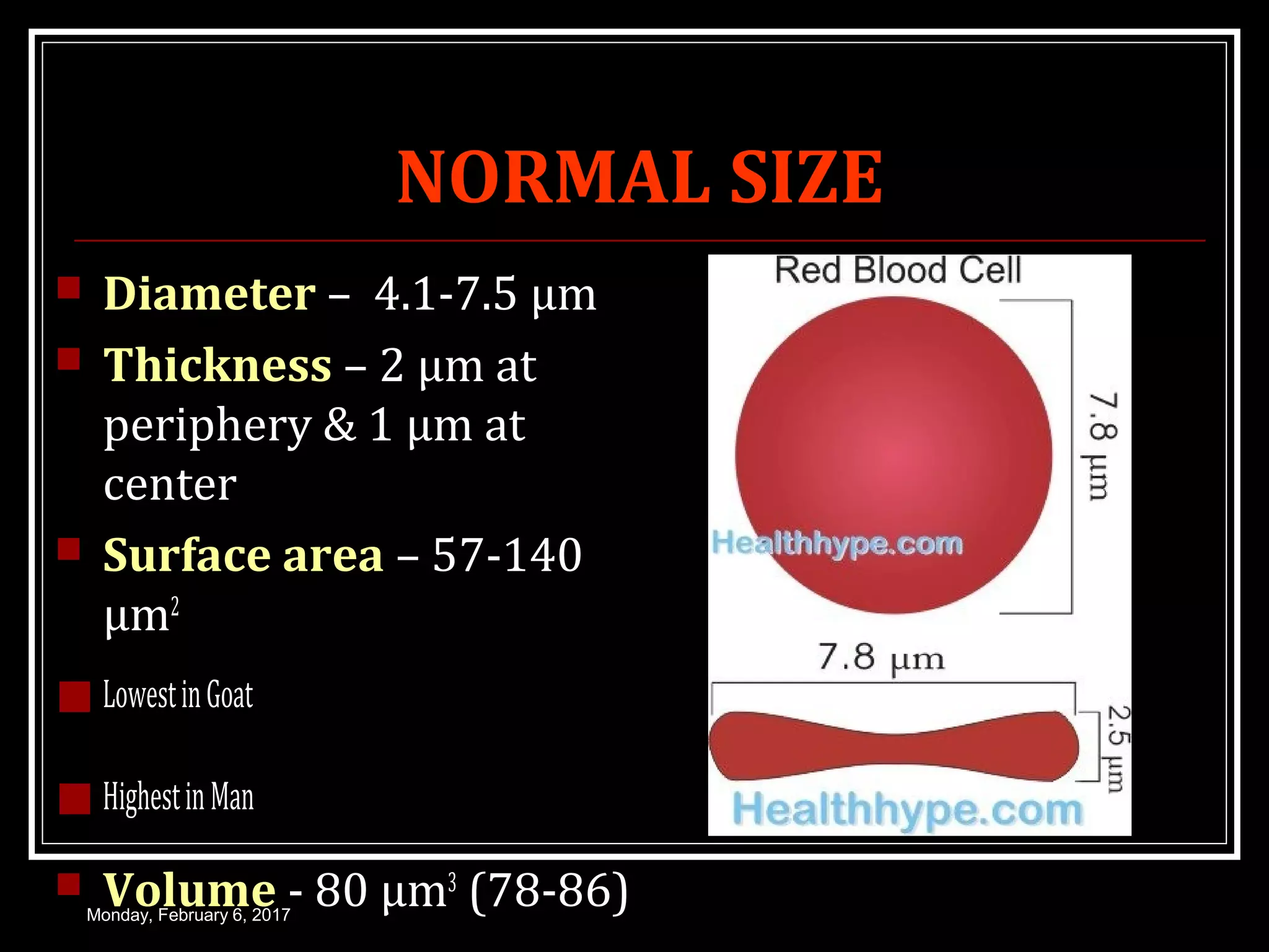 Rbc morphology | PPT