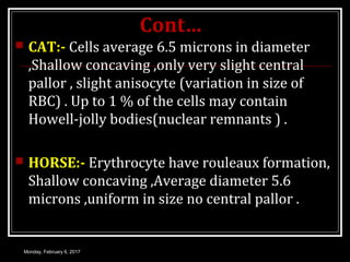 Rbc morphology | PPT