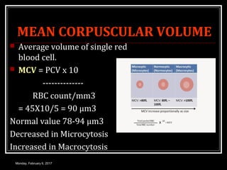 Rbc morphology | PPT