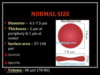 Rbc morphology | PPT