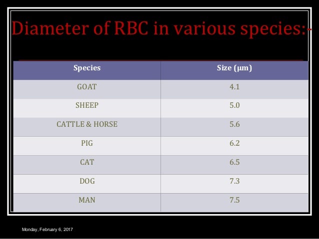Rbc morphology