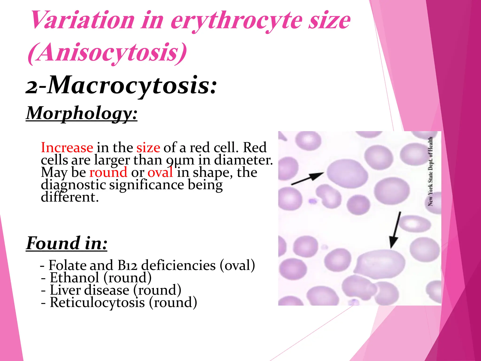 RBC Morphology.pdf