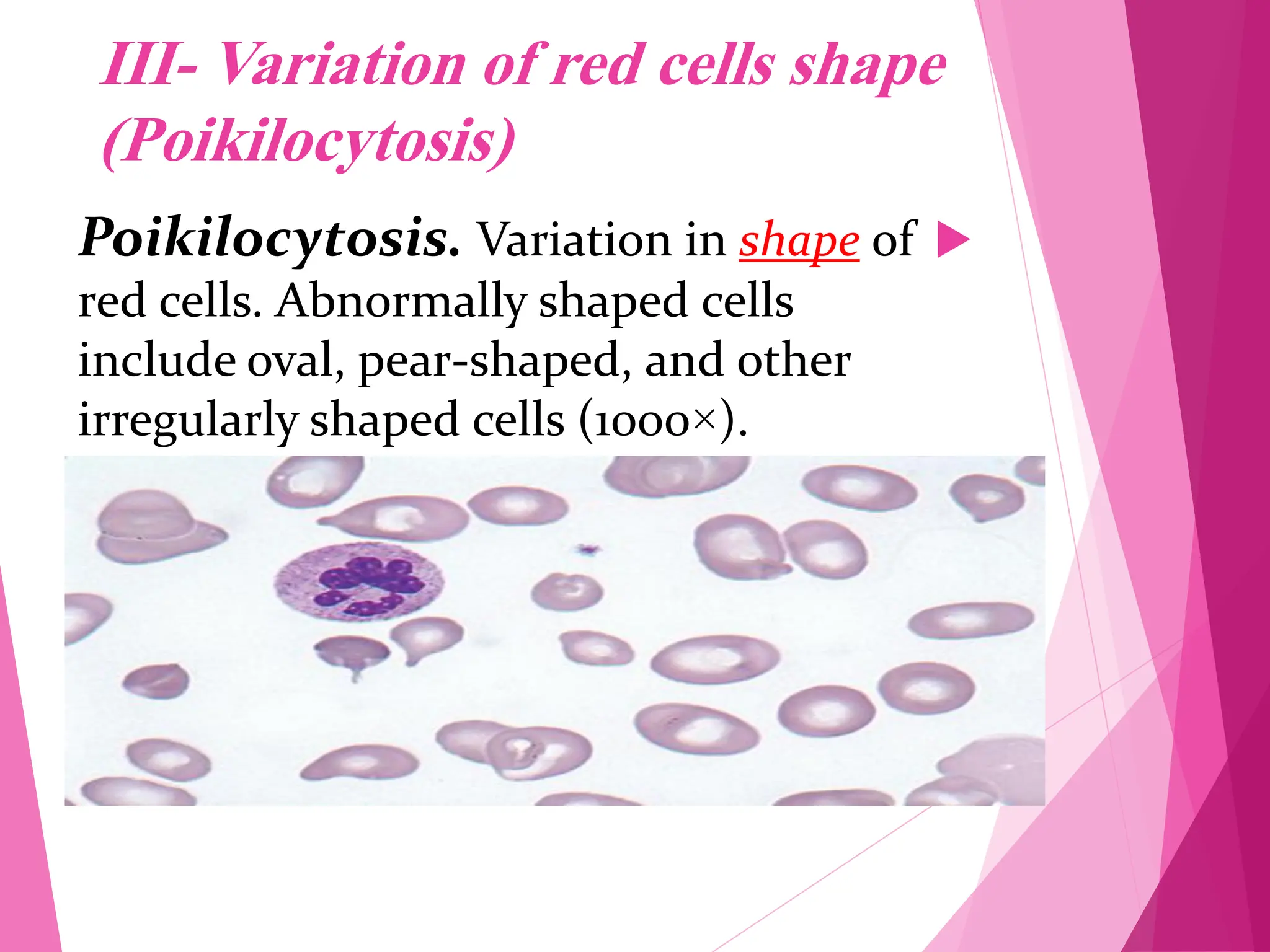 RBC Morphology.pdf
