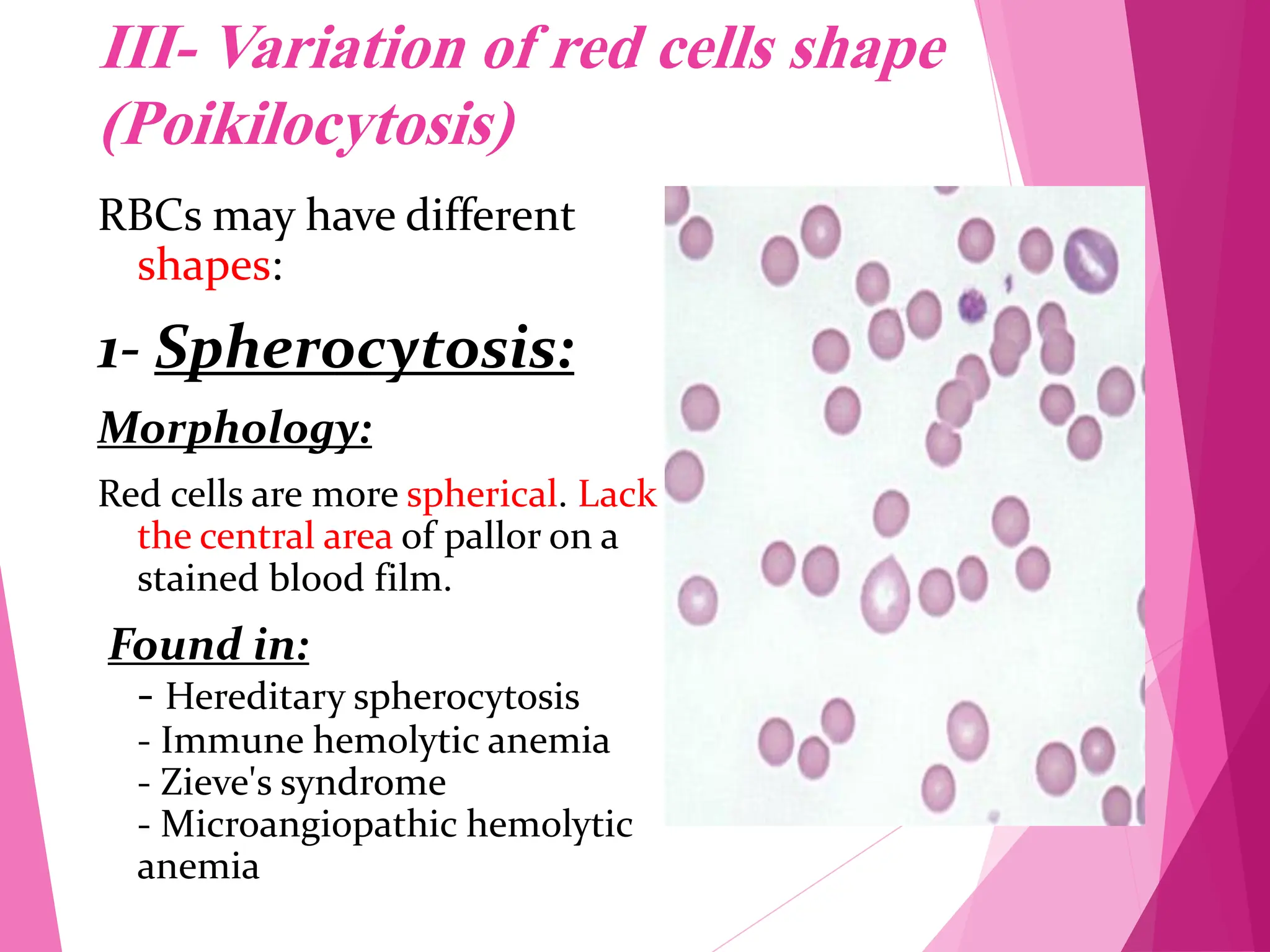 RBC Morphology.pdf