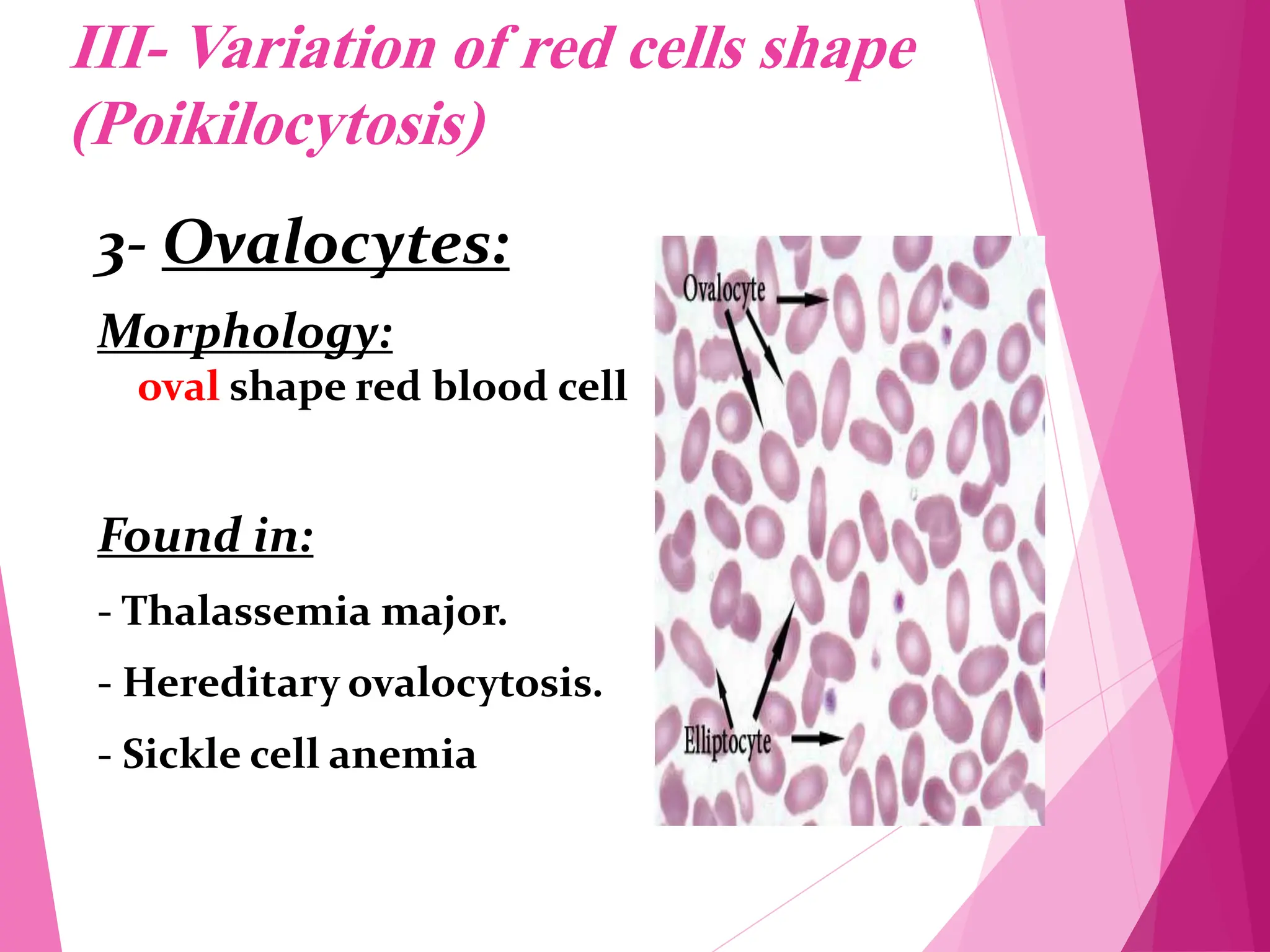 RBC Morphology.pdf