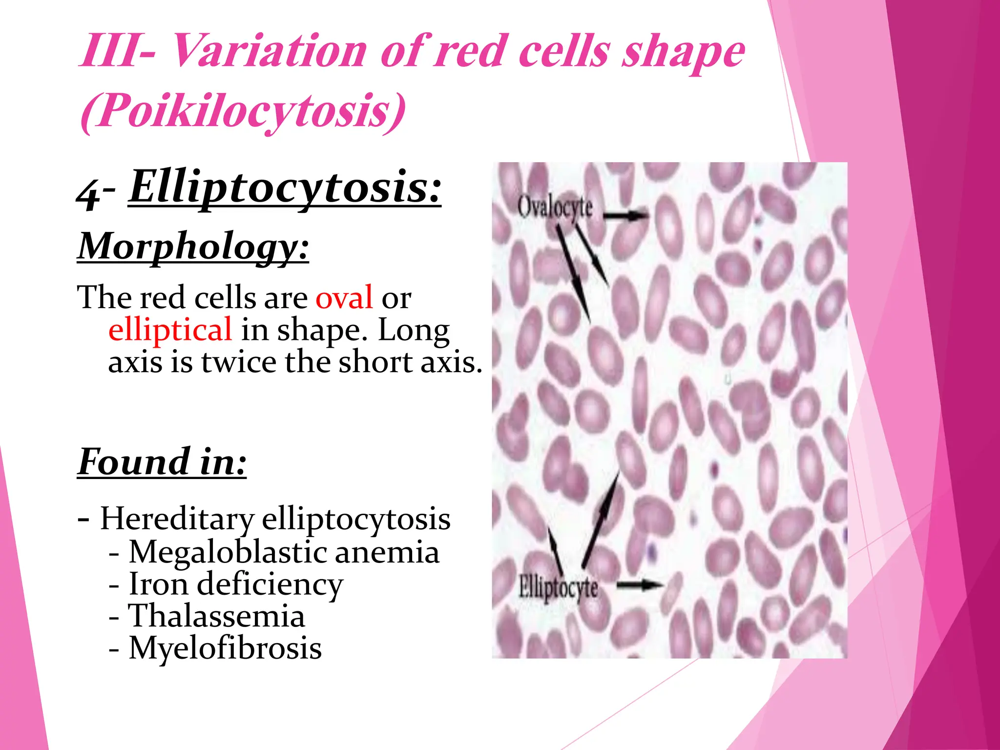 RBC Morphology.pdf