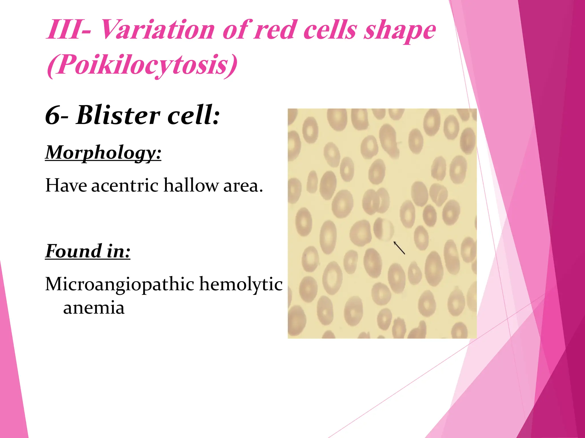 RBC Morphology.pdf