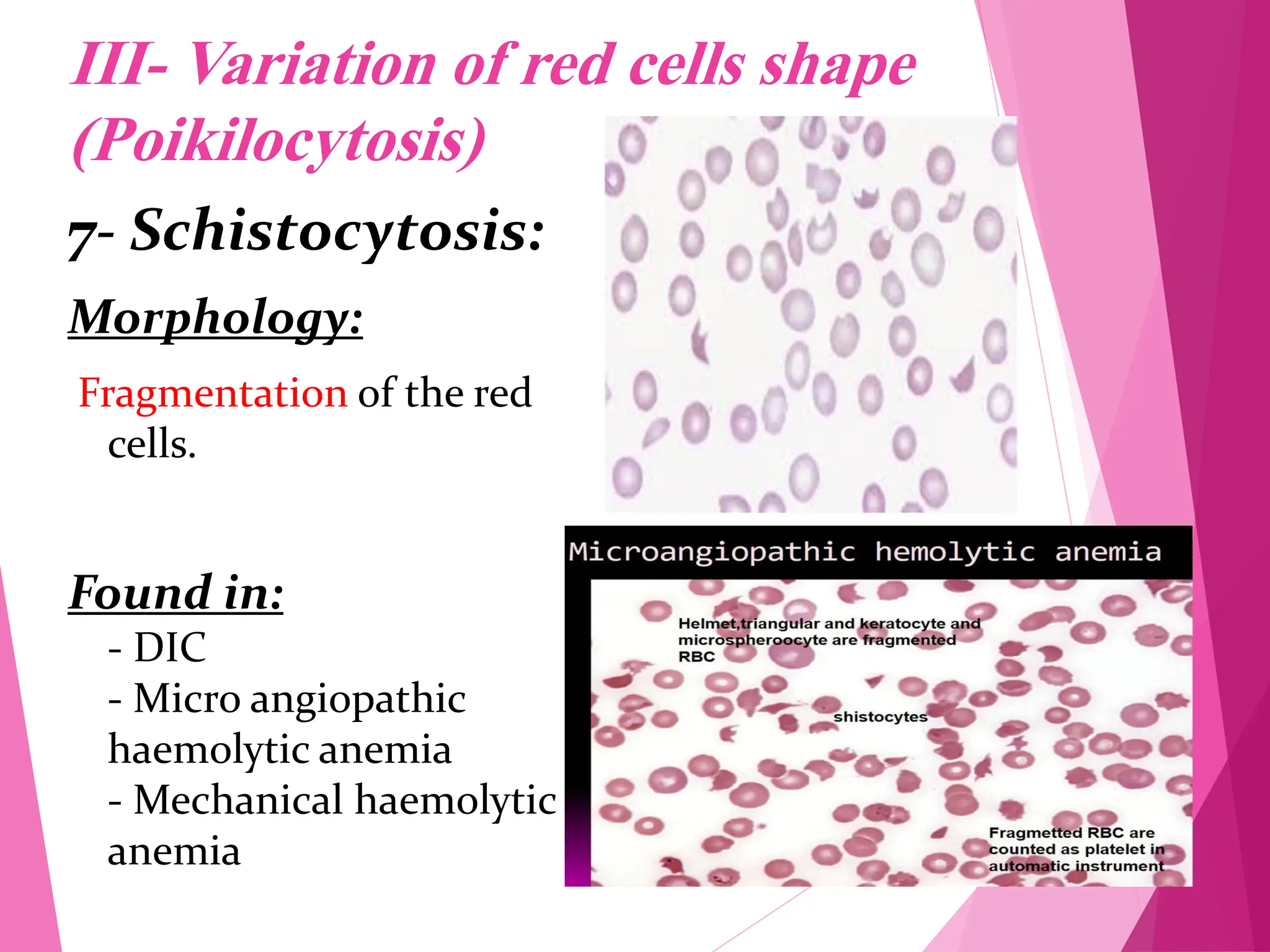 RBC Morphology.pdf