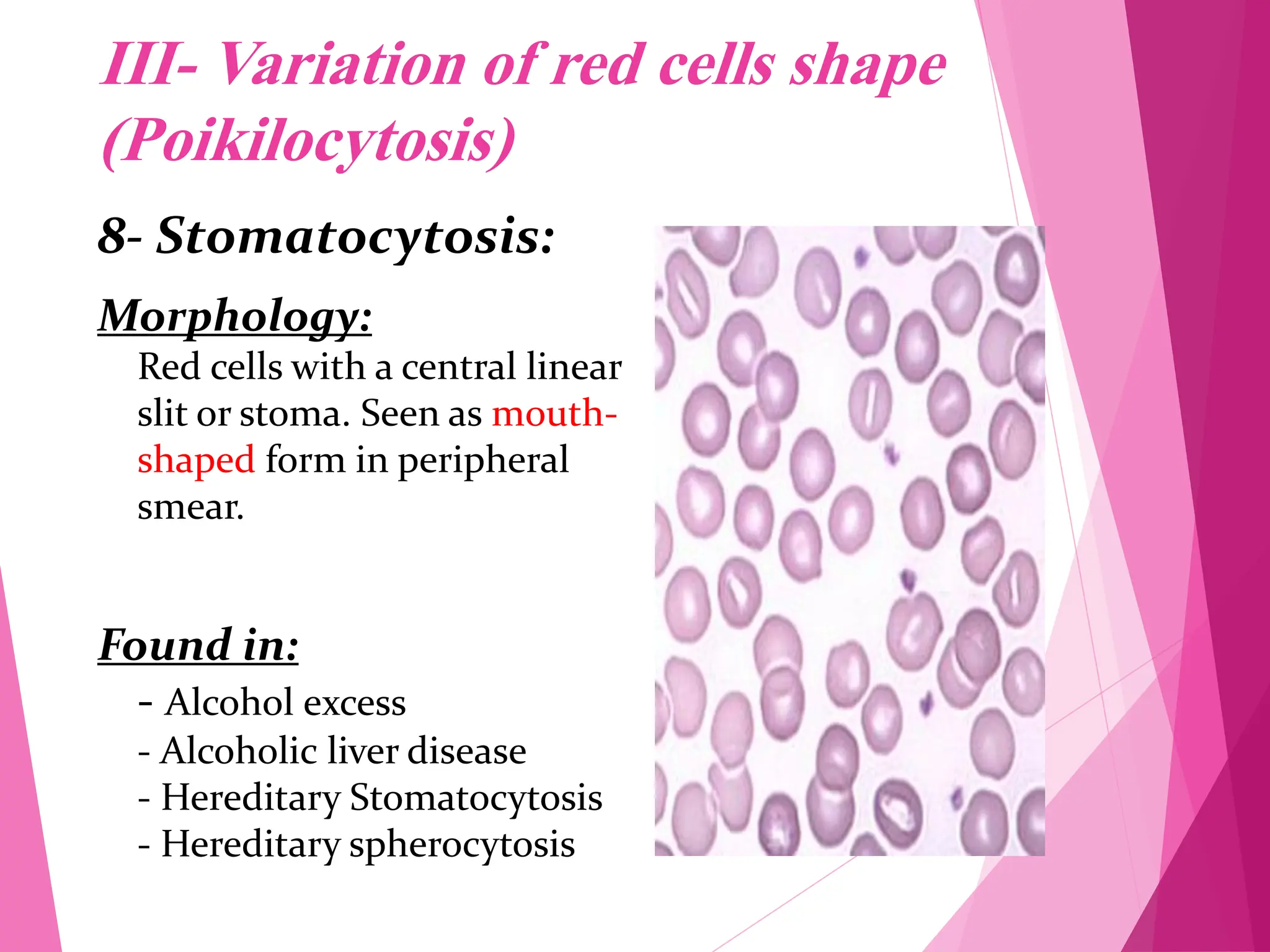 RBC Morphology.pdf