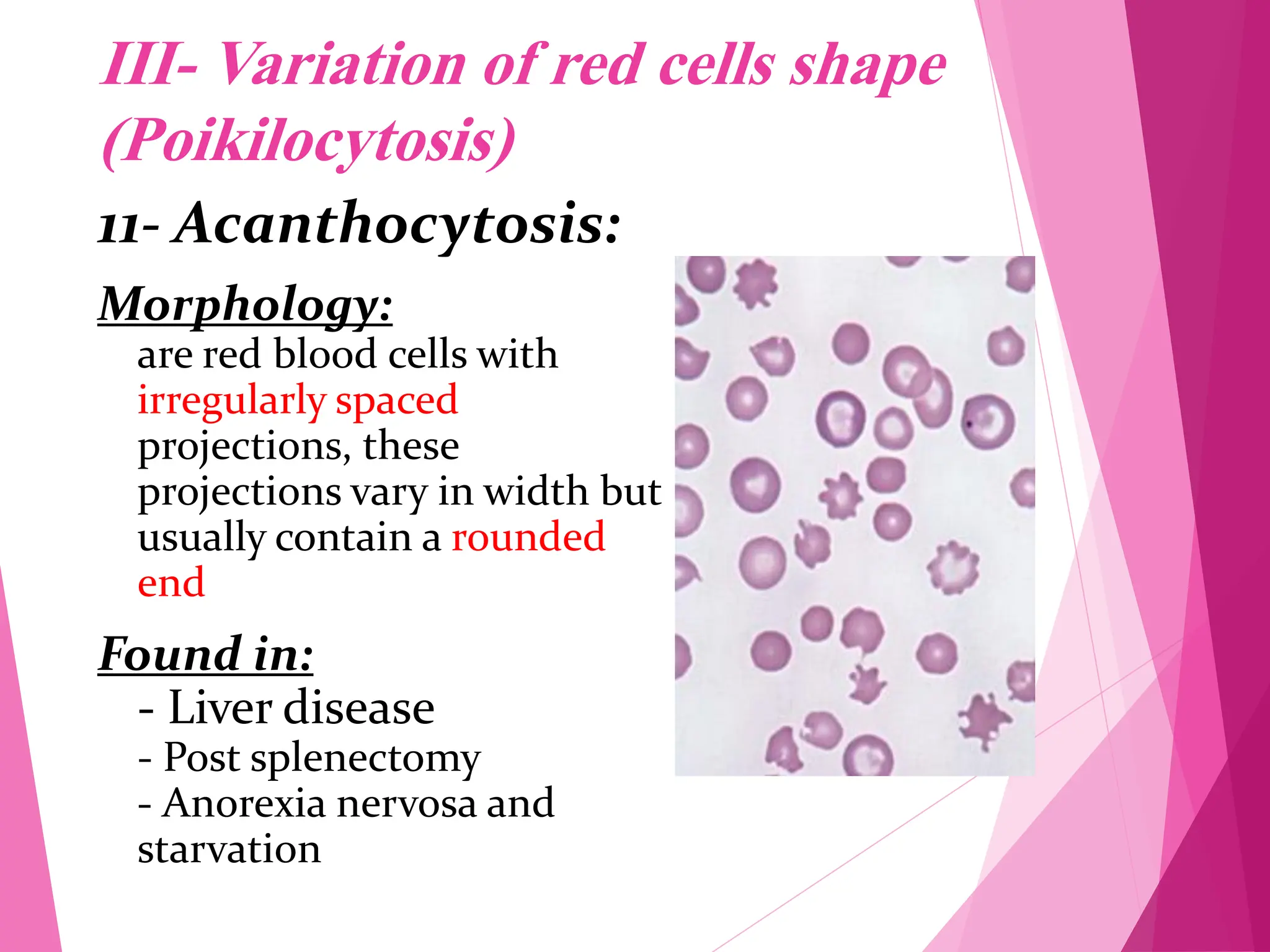 RBC Morphology.pdf