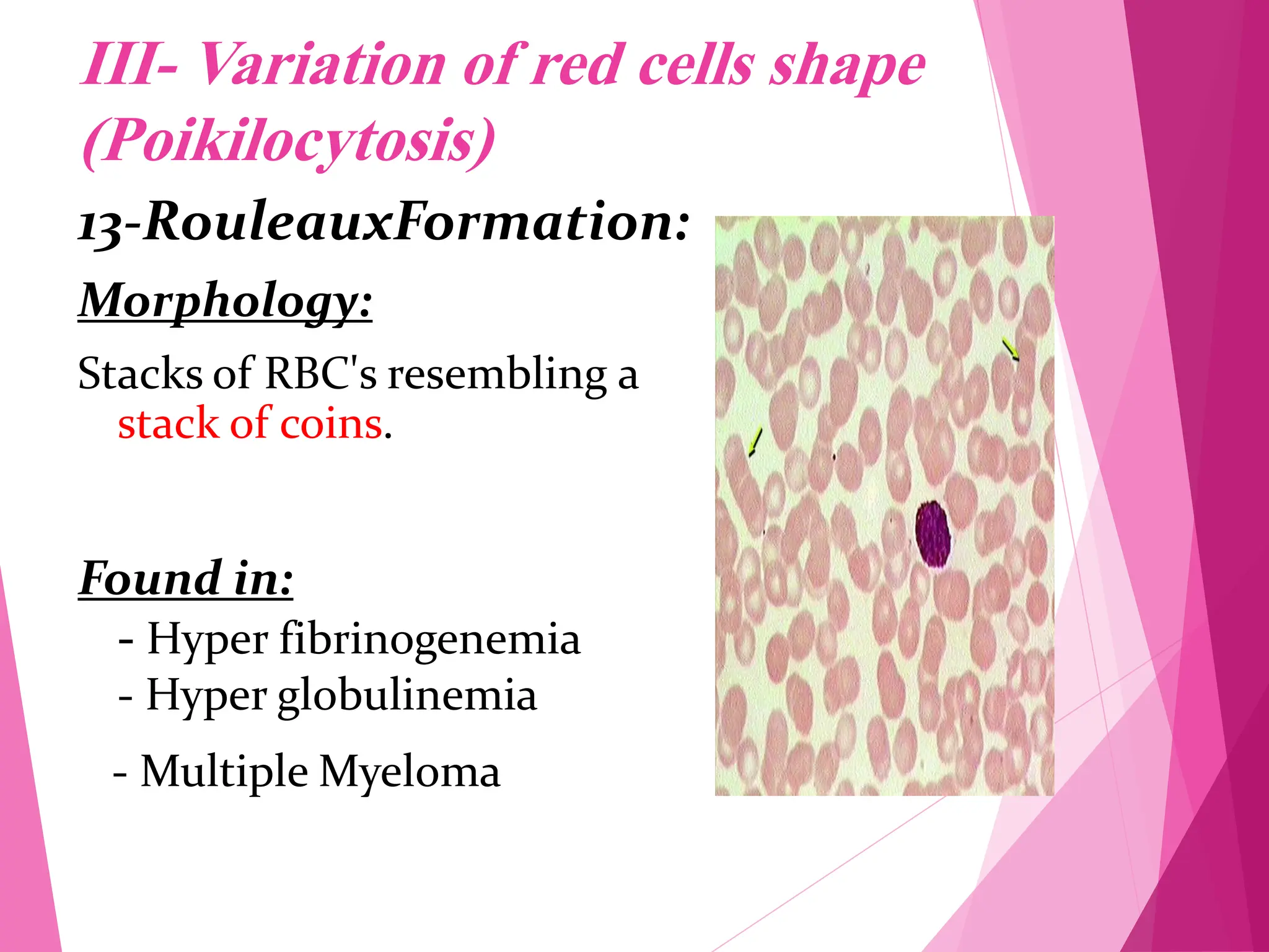 RBC Morphology.pdf