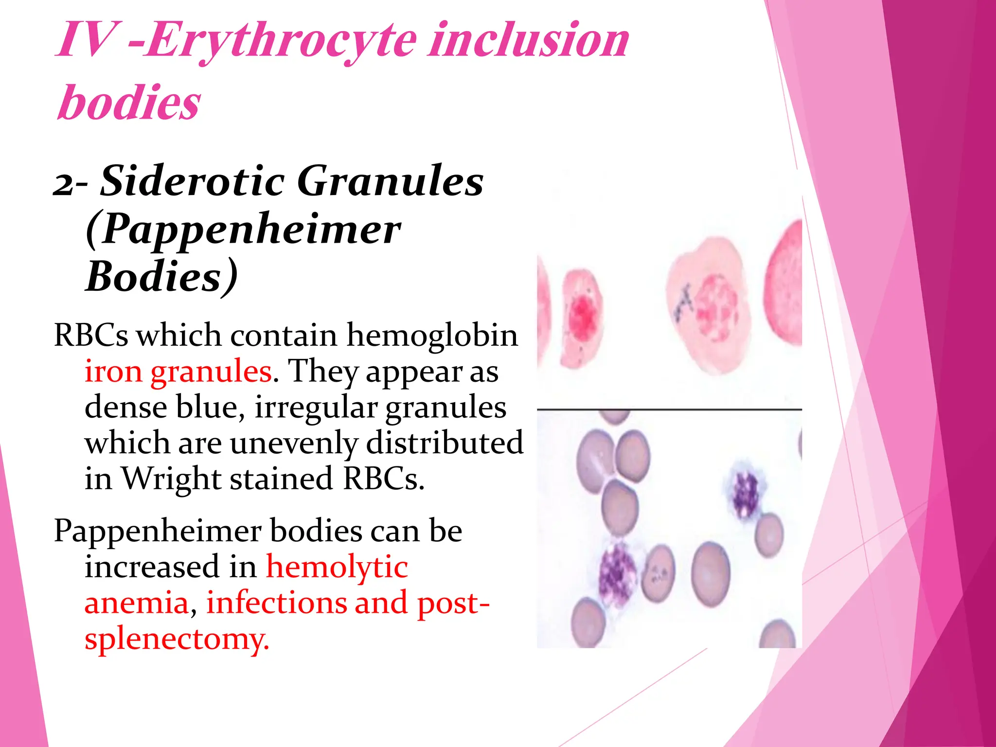 RBC Morphology.pdf