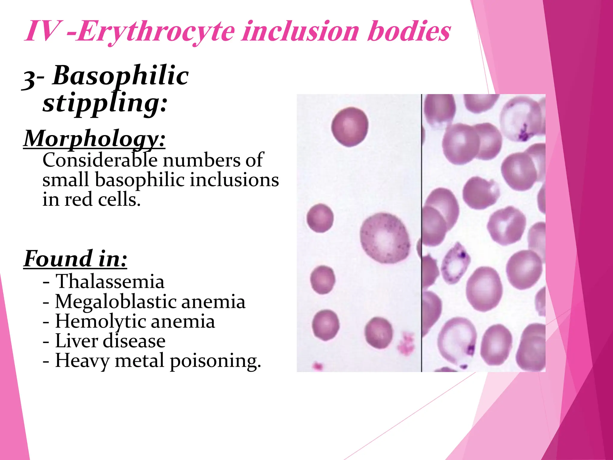 RBC Morphology.pdf