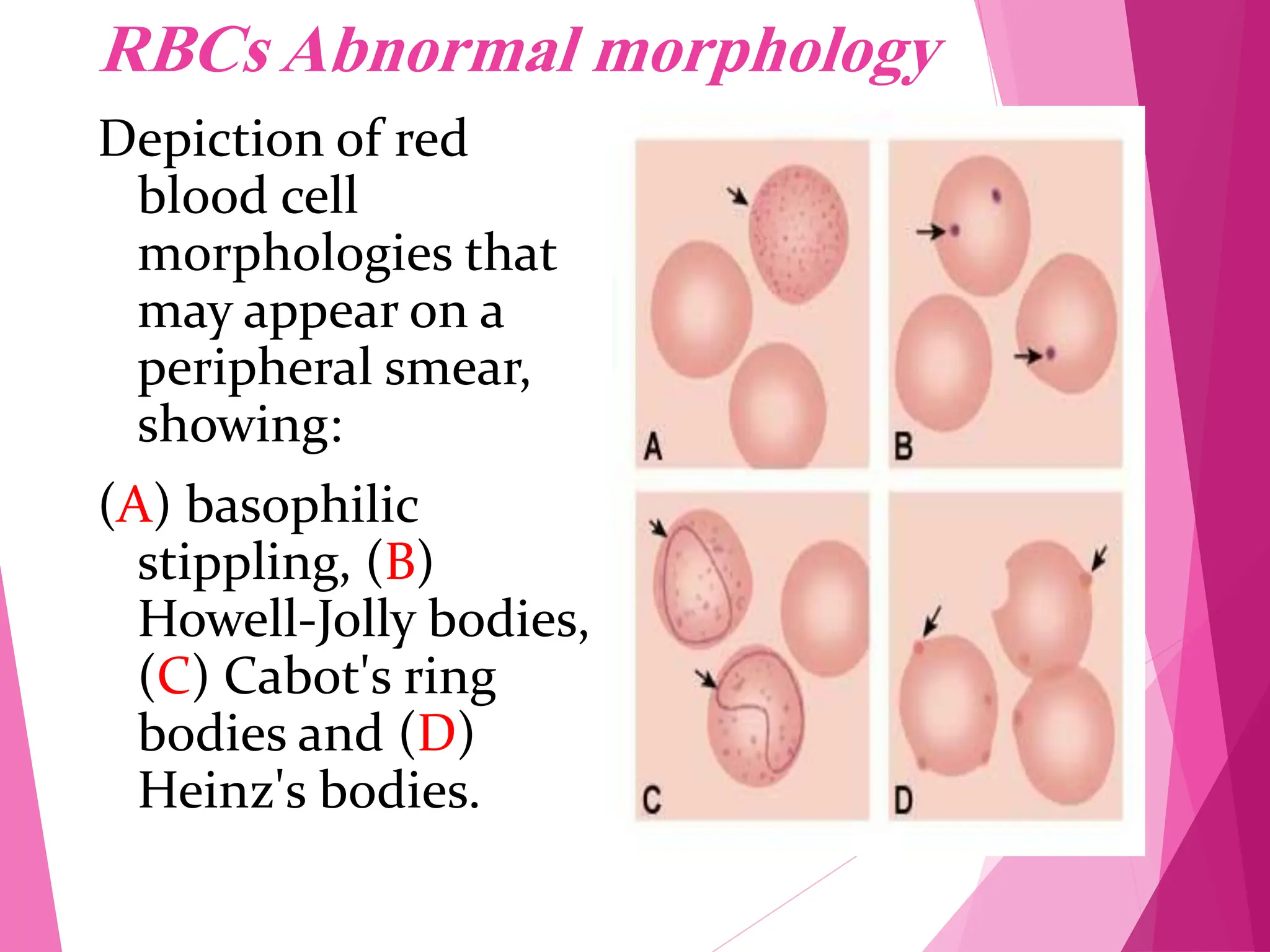 RBC Morphology.pdf