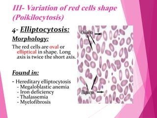 RBC Morphology.pdf