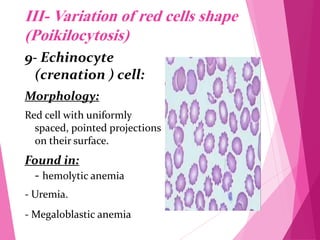 RBC Morphology.pdf