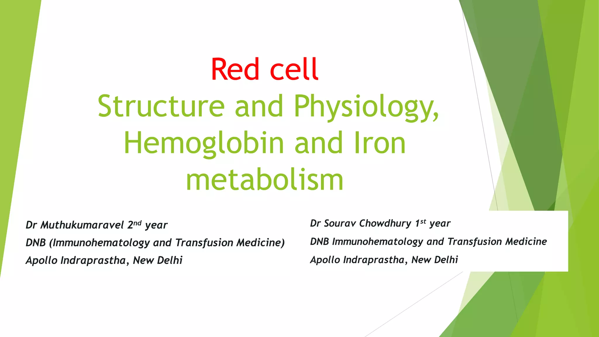 Rbc Structure and Physiology | PPTX