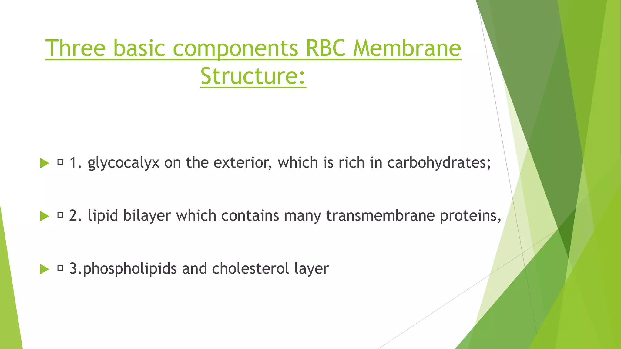Rbc Structure and Physiology | PPTX | Blood Disorders | Diseases and ...