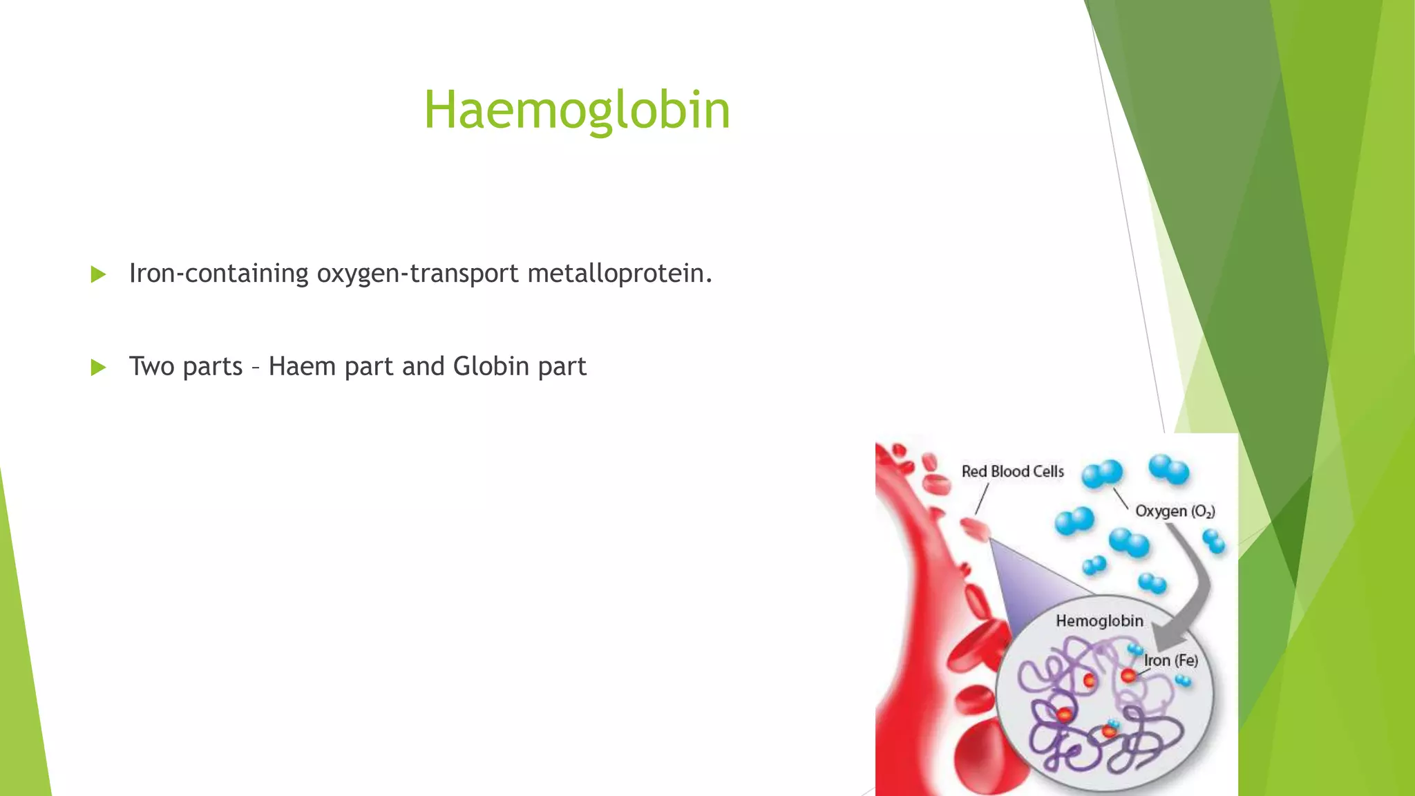 Rbc Structure and Physiology | PPTX
