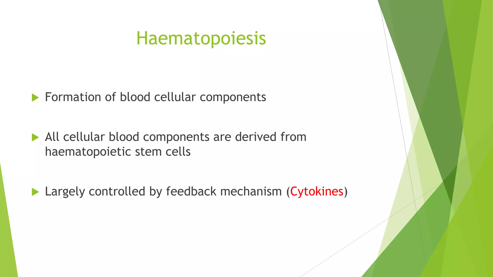 Rbc Structure and Physiology | PPTX